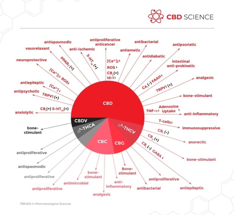 CBD Science » Research, Education & Consulting Services